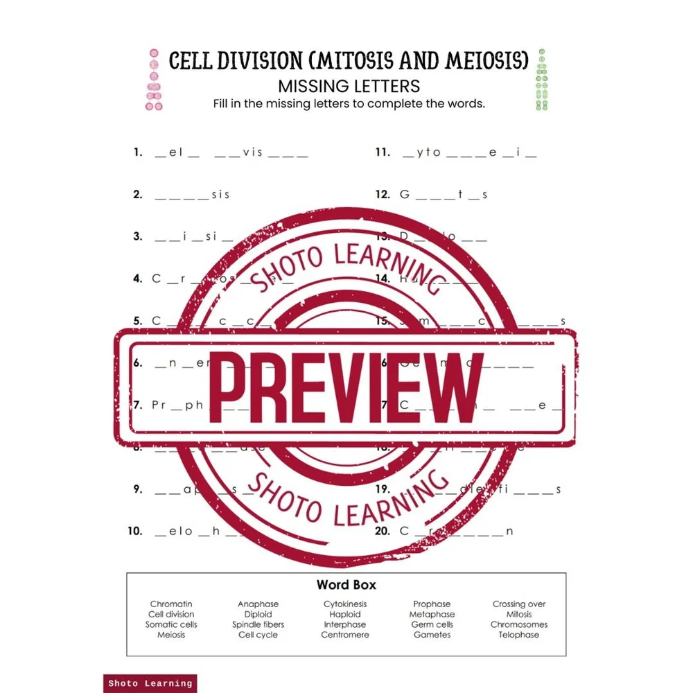 Mitosis vs Meiosis Poster: Visual Guide to Cell Division