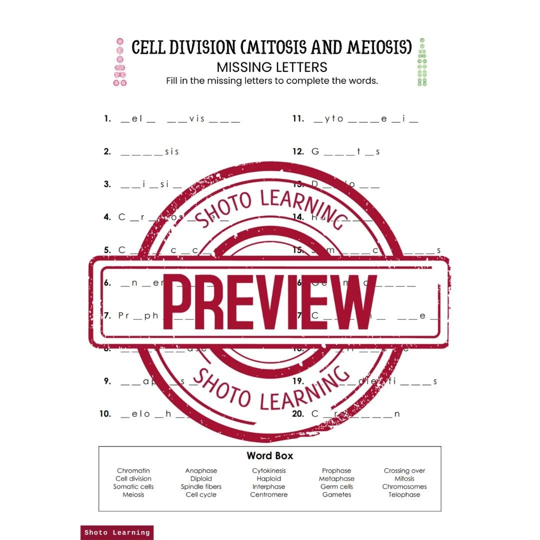 Mitosis vs Meiosis Poster: Visual Guide to Cell Division