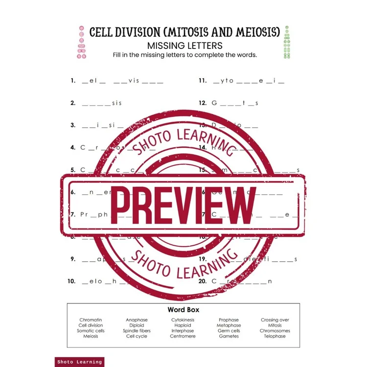 Mitosis vs Meiosis Poster: Visual Guide to Cell Division