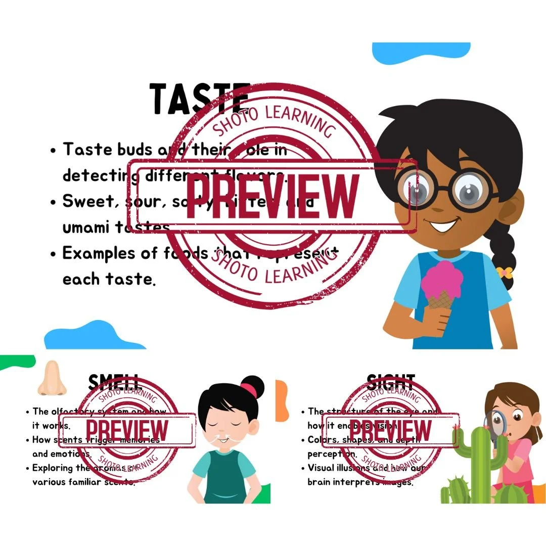 Five Senses Word Search Puzzle - Fun Science Activity for Kids