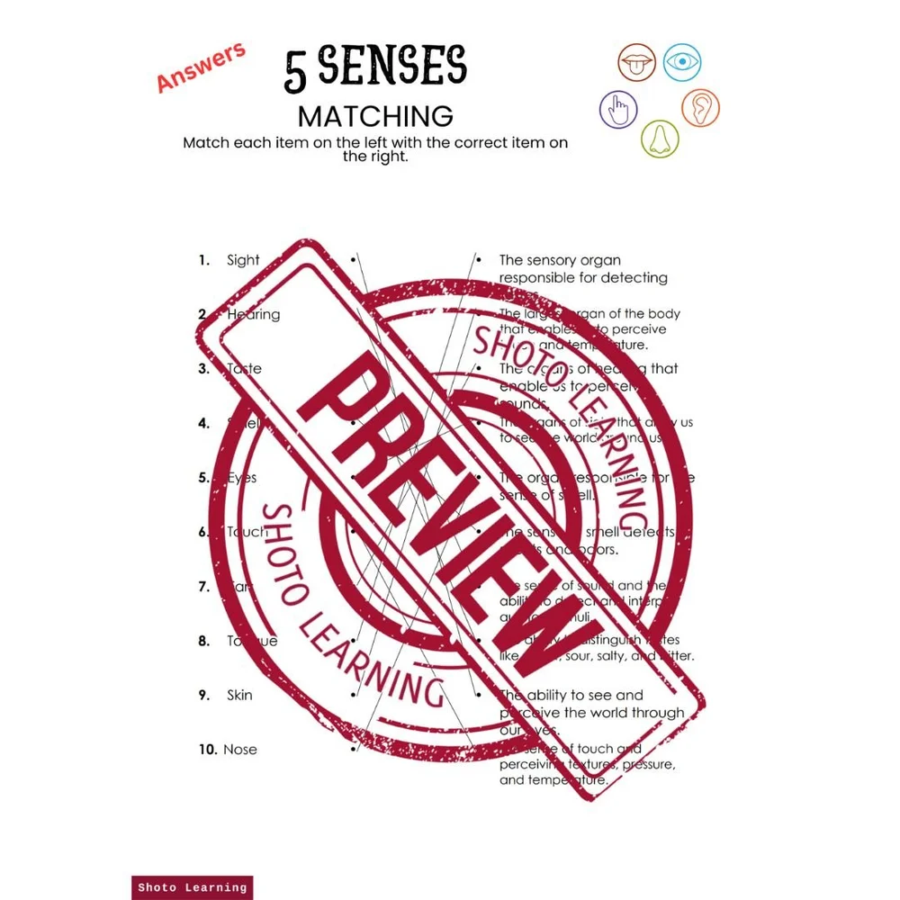 5 Senses Science Bundle: Word Find & Scramble Game