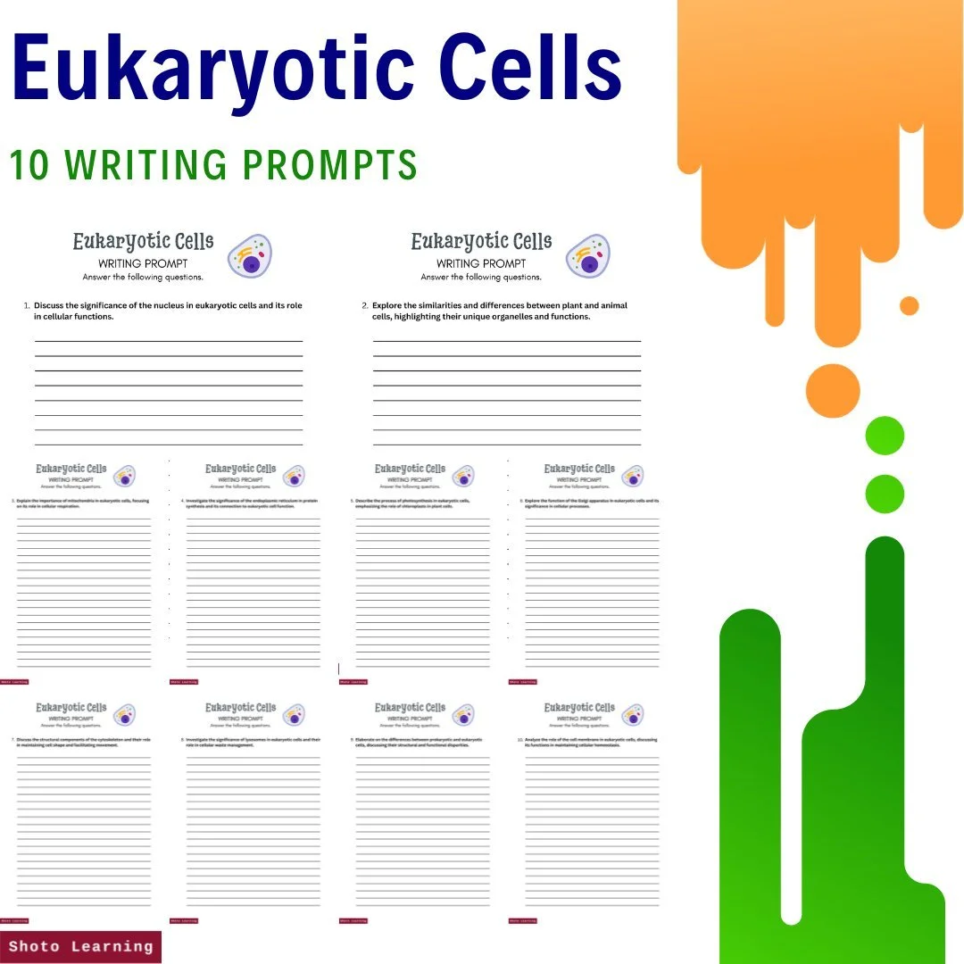 Eukaryotic Cell Matching Worksheet – Organelles & Functions