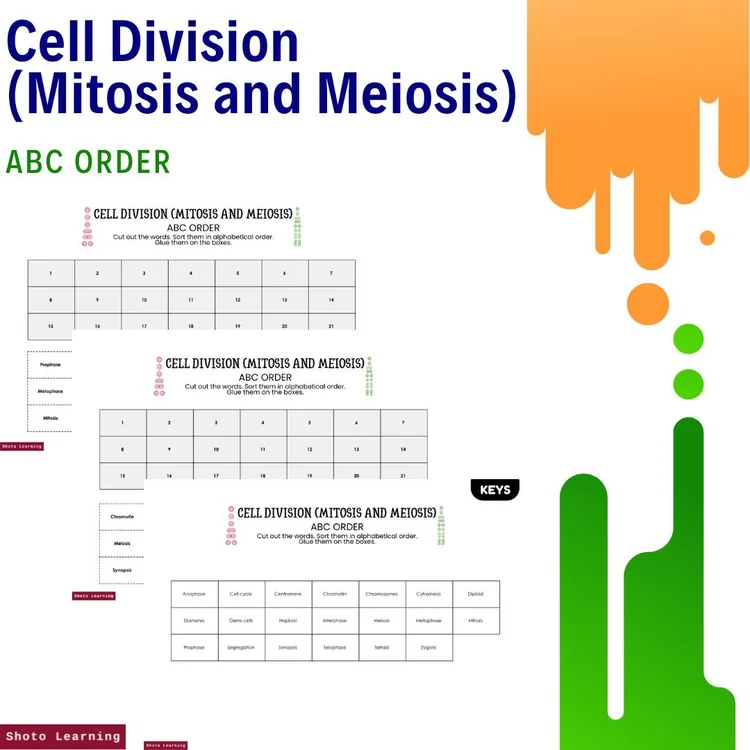 Mitosis vs Meiosis Poster: Visual Guide to Cell Division