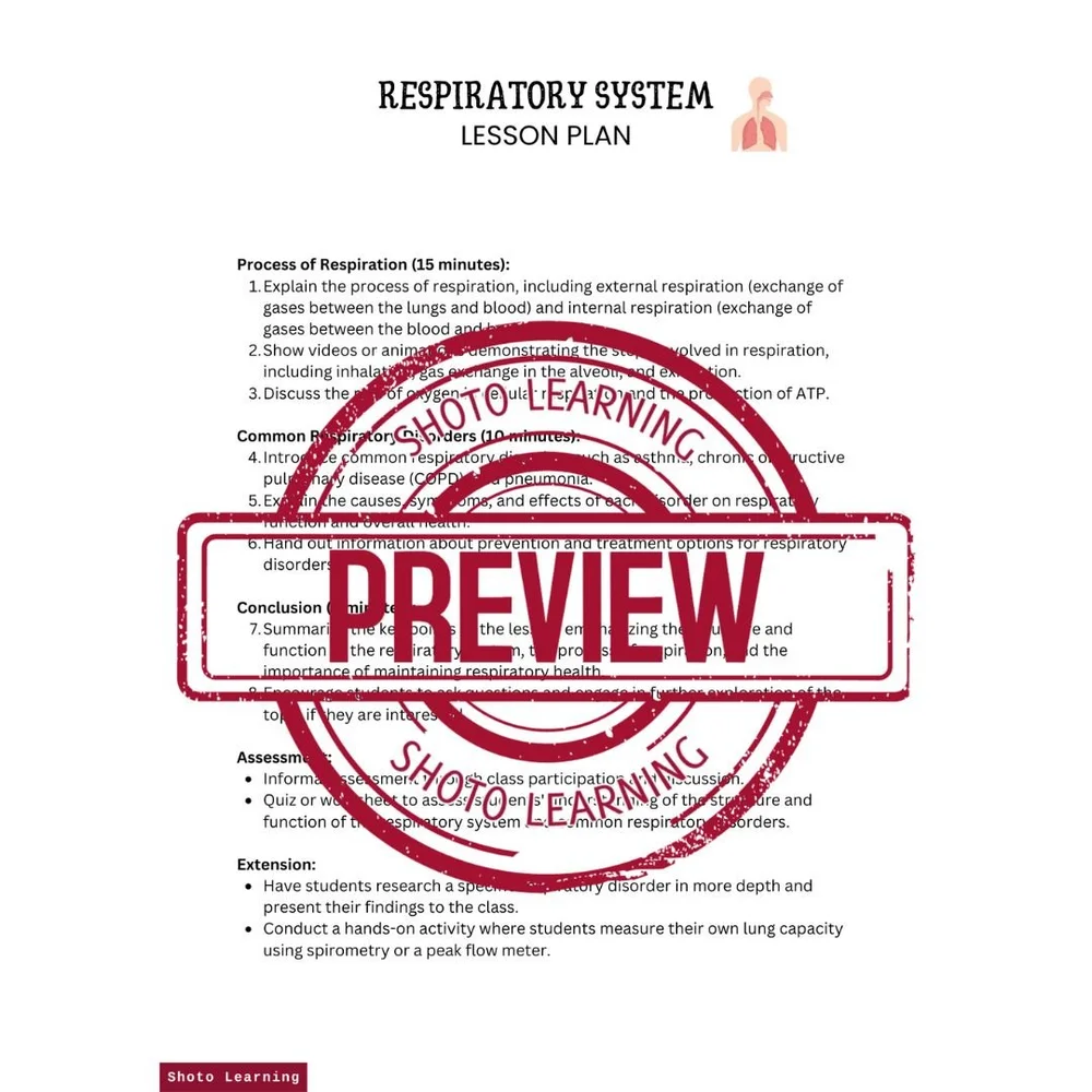 Respiratory System Flashcards - Learn Fast!