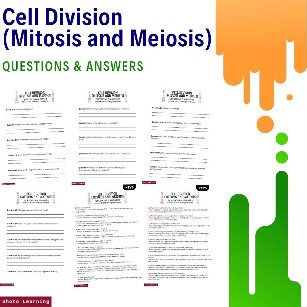 Meiosis Worksheet Answer Cell Division Worksheets: Mitosis & Meiosis