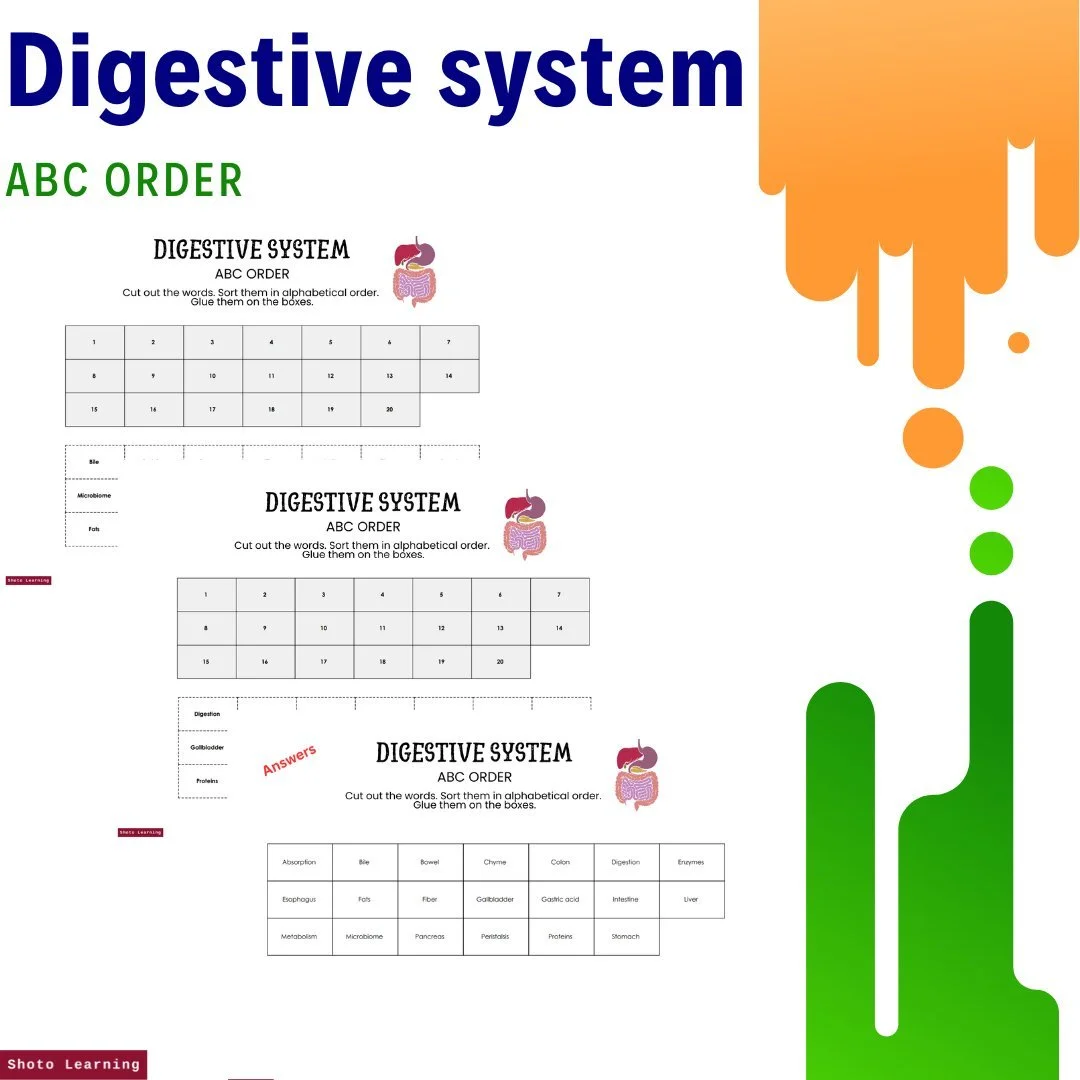 Digestive System Vocabulary Scramble Activity Worksheet