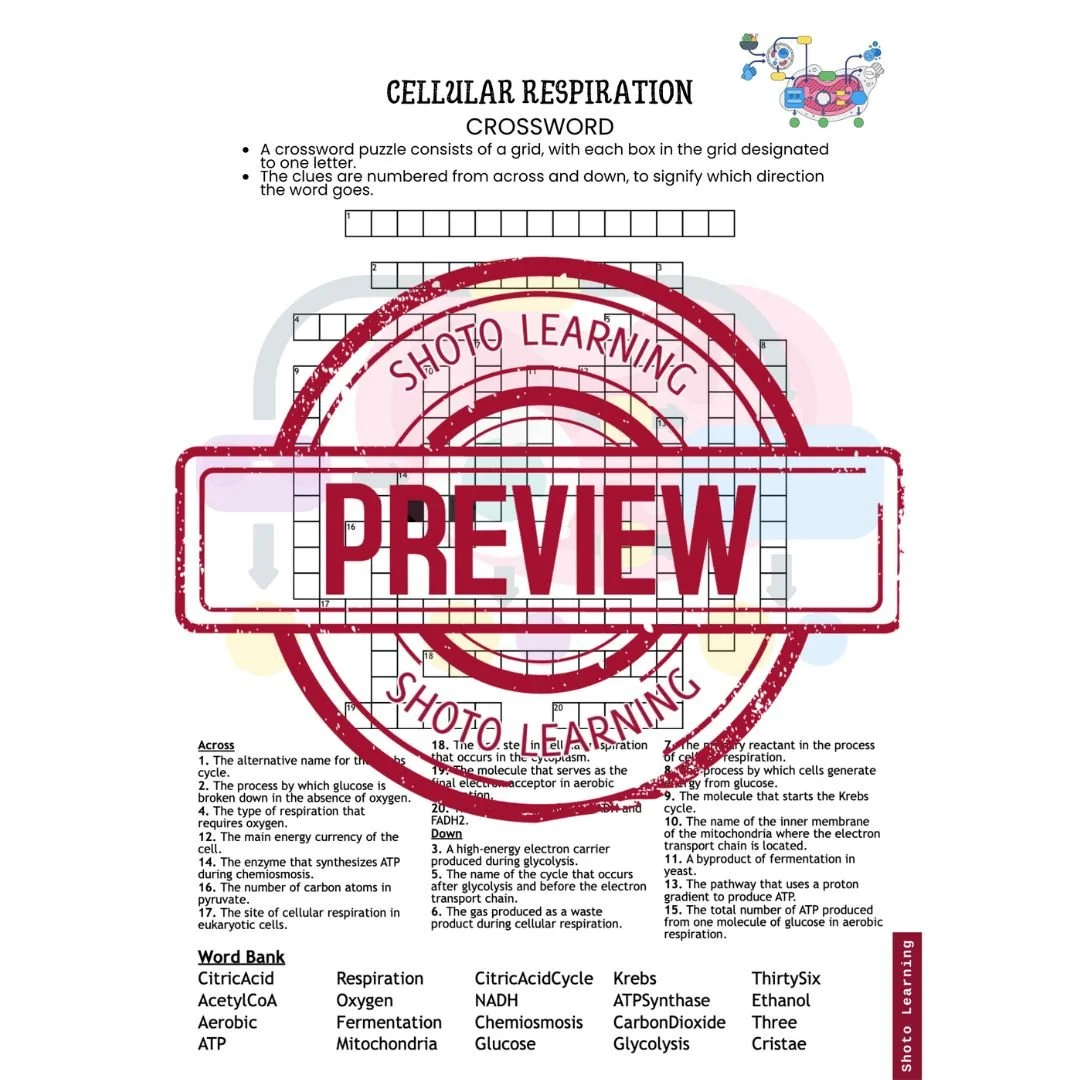 Cellular Respiration Missing Letters Worksheets – 20 Key Terms