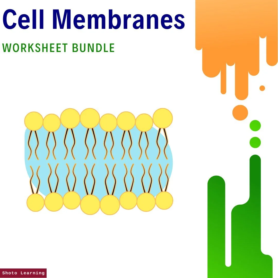 Cell Membrane Missing Letter Worksheet | Fun Biology Learning