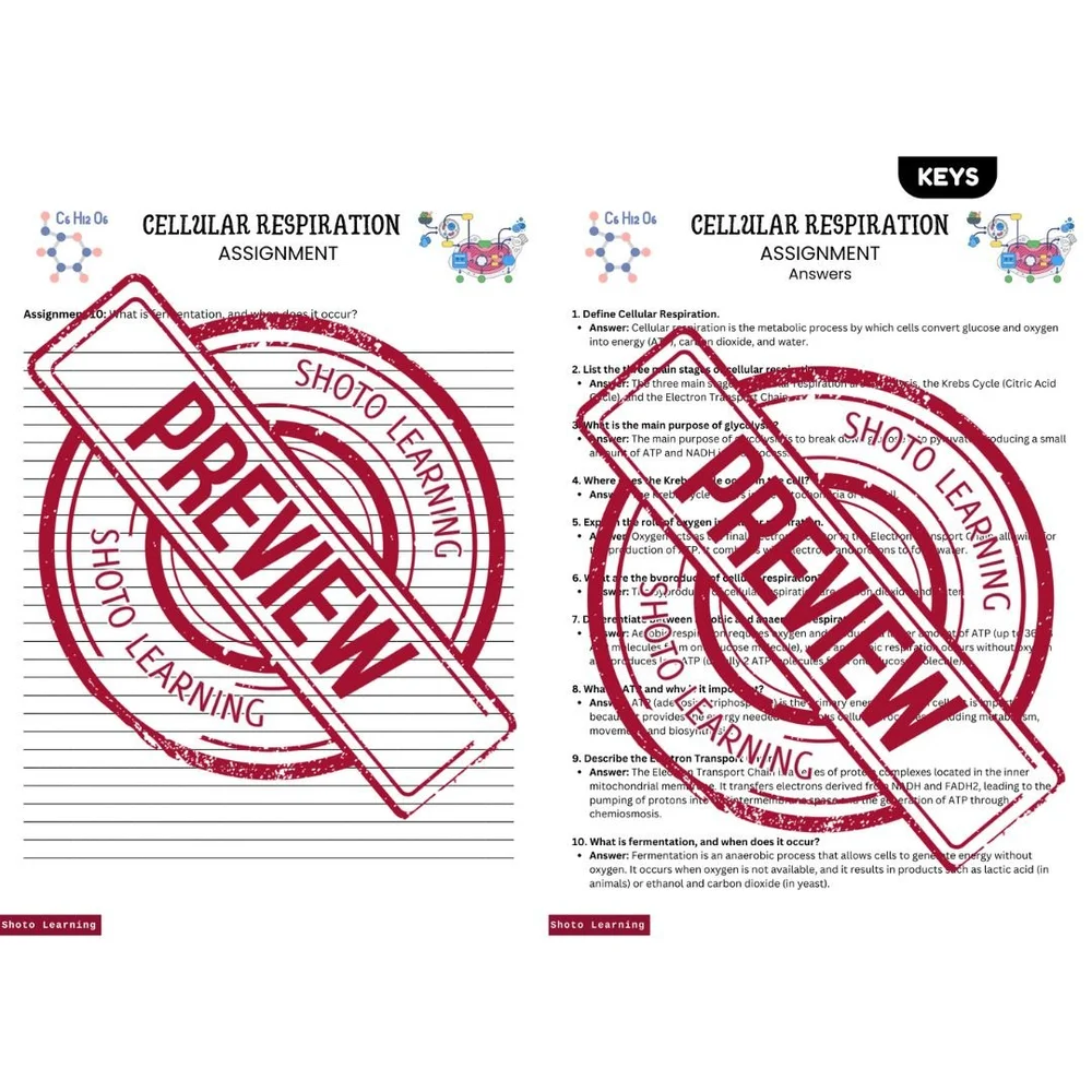 Cellular Respiration ABC Order Worksheets – 21 Key Terms & Answer Key
