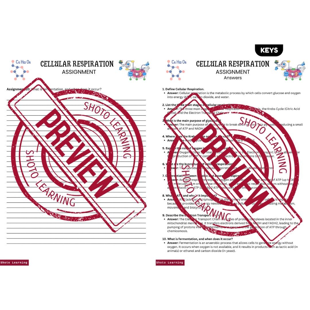 Cellular Respiration Label Worksheet | Word Box & Answer Key