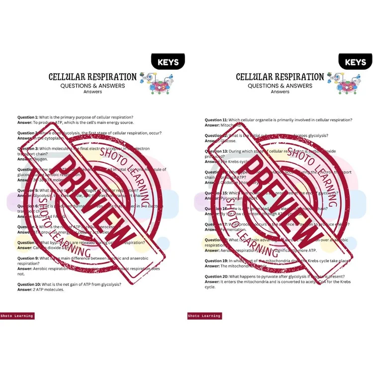 Cellular Respiration Label Worksheet | Word Box & Answer Key