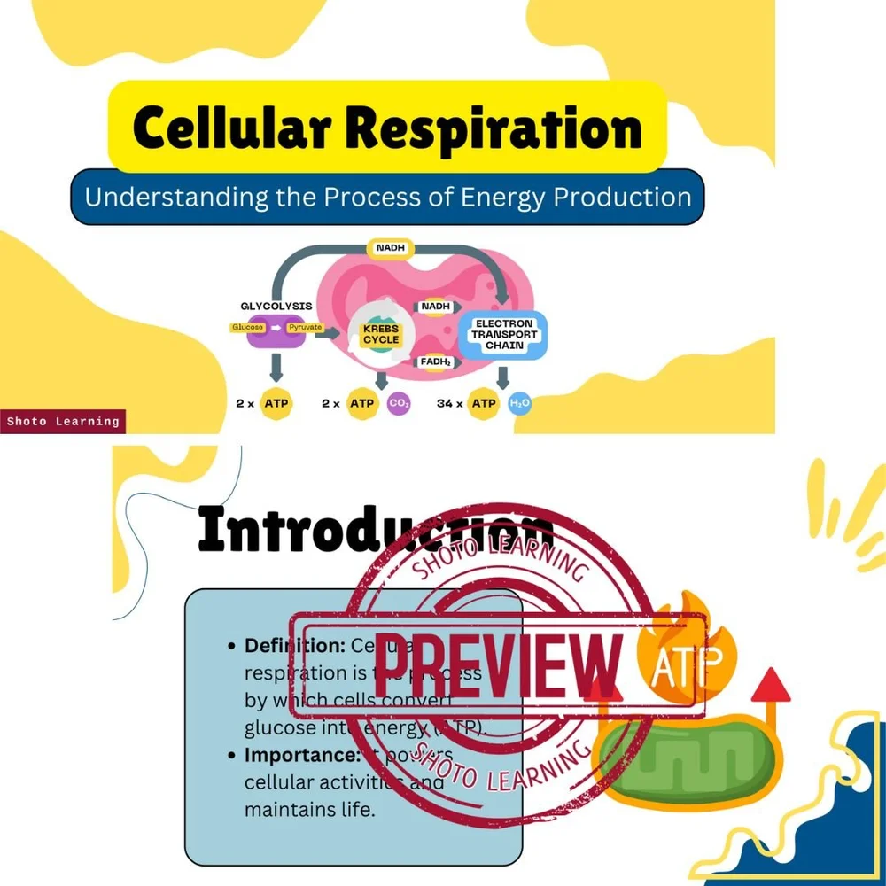 Cellular Respiration Label Worksheet | Word Box & Answer Key