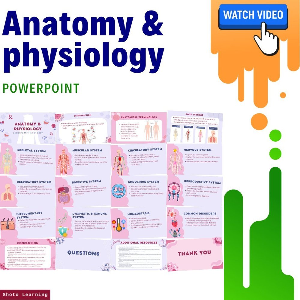 Anatomy & Physiology Poster: Human Body Systems Guide