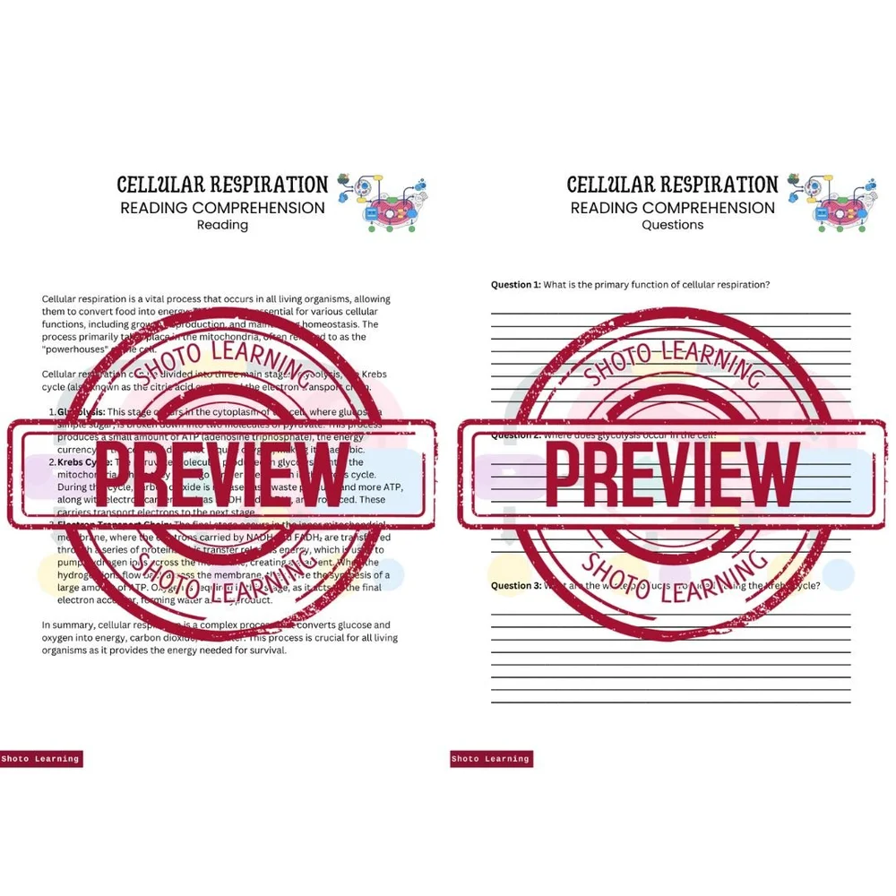 Cellular Respiration Label Worksheet | Word Box & Answer Key