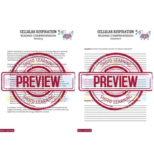 Cellular Respiration Label Worksheet | Word Box & Answer Key
