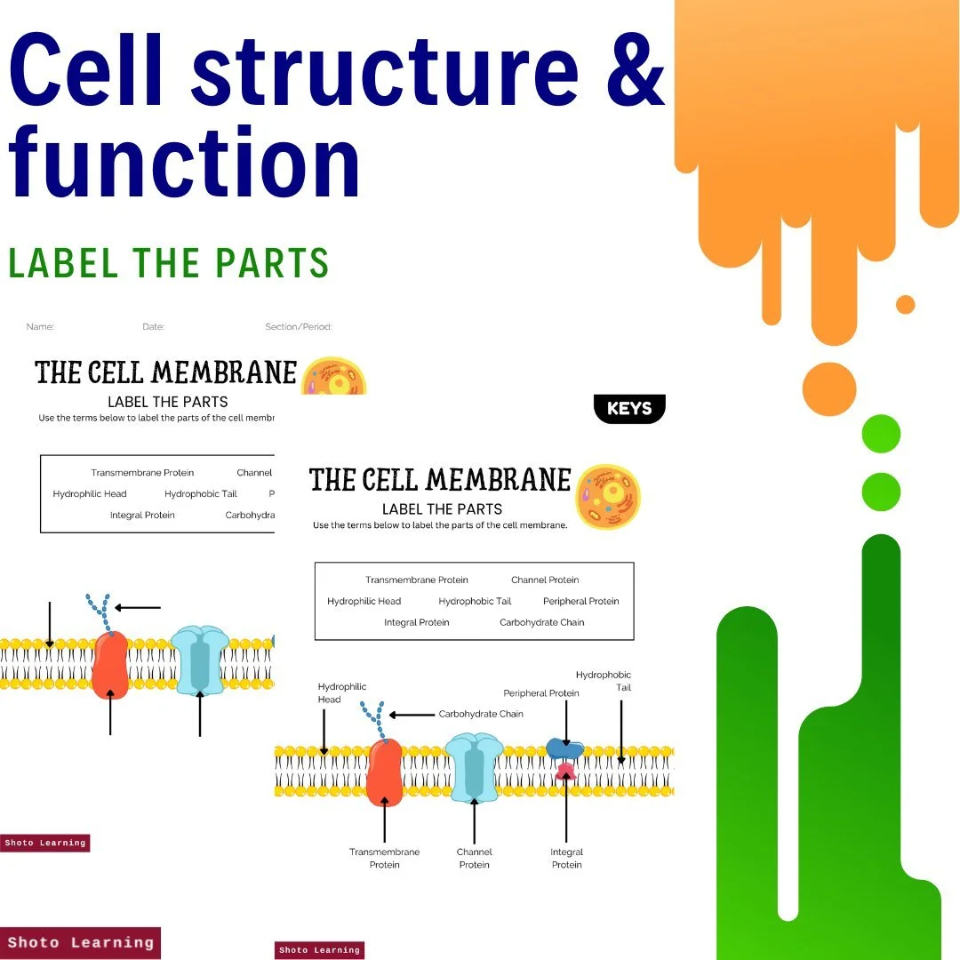 Cell Structure & Function Mega Bundle – Explore & Learn Biology