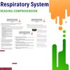 Respiratory System Poster: Learn Anatomy & Function | Free Download