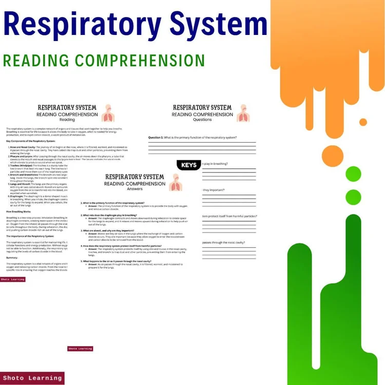 Respiratory System Diagram: Fill in the Blanks and Learn