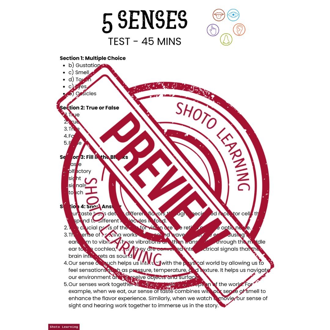 Five Senses Word Search Puzzle - Fun Science Activity for Kids