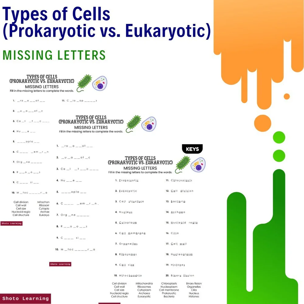 Biology Worksheet Bundle: Prokaryotic vs Eukaryotic Cells