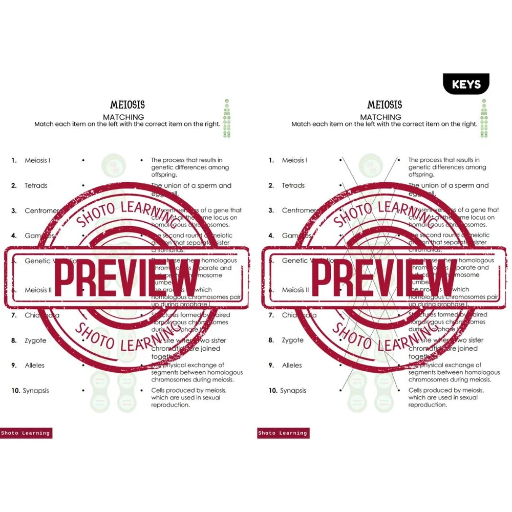Meiosis Multiple Choice Worksheet | 20 Questions & Answer Key
