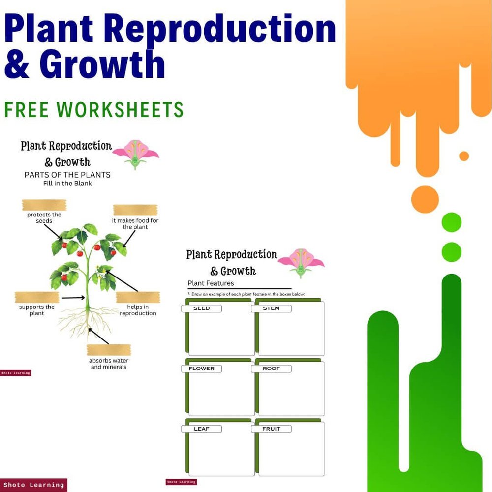 Plants Reproduction & Growth: Fun Word Scramble Activity