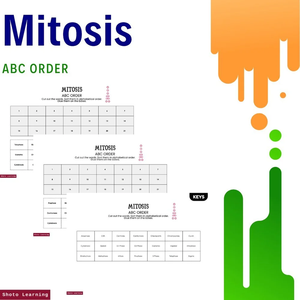 Unveiling Mitosis Poster - Educational Cell Division Chart