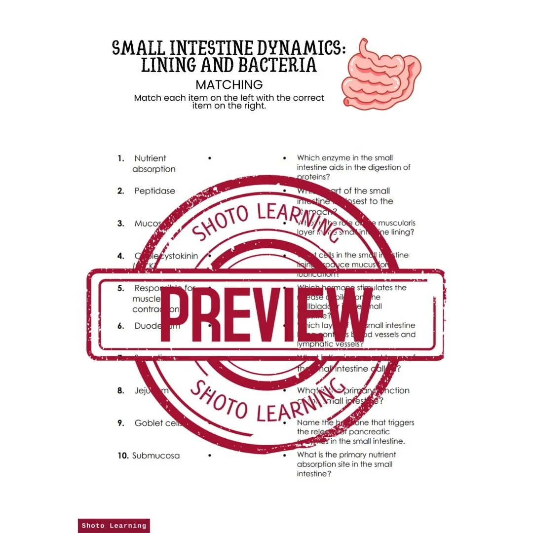 Small Intestine Worksheets: Anatomy & Bacteria Dynamics
