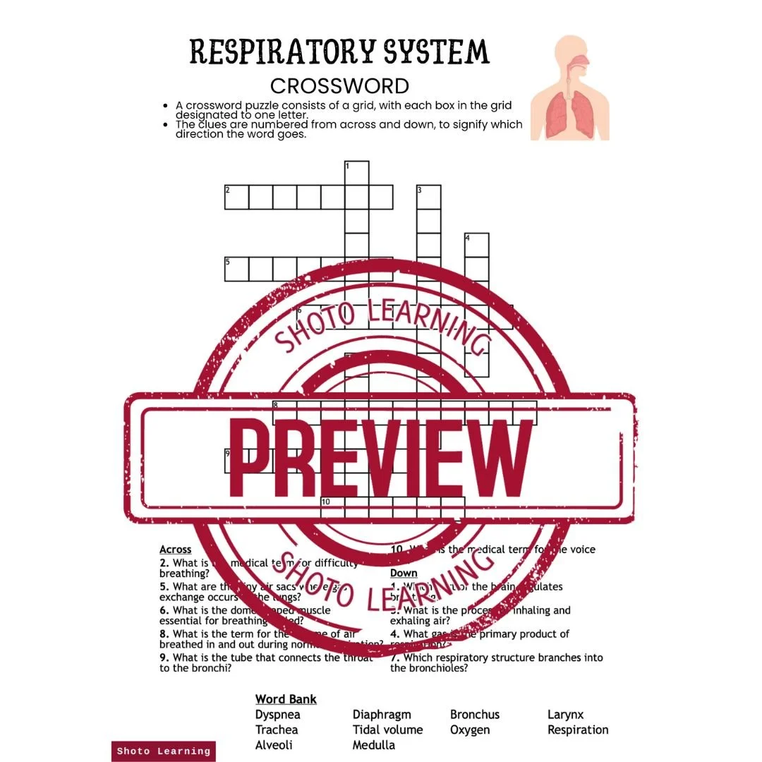 Respiratory System Word Search: Fun Science Activity