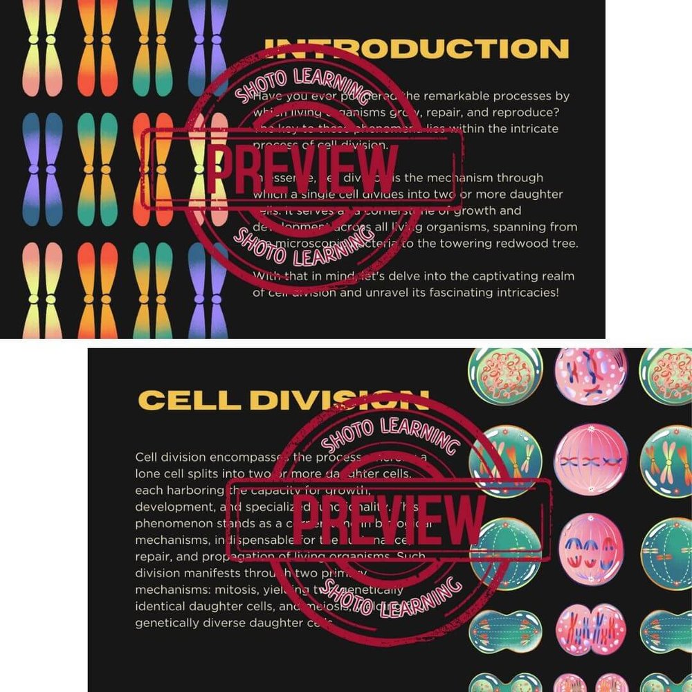 Mitosis Quest: Engaging Word Search Puzzle Worksheet for Students