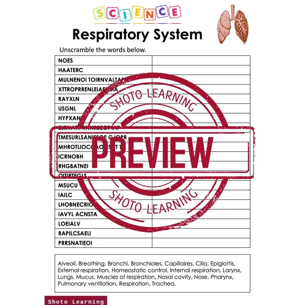 Respiratory System Matching Worksheet: A Match Made in Lungs