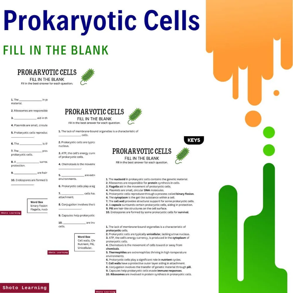 Prokaryotic Cells Cut and Paste Activity - Fun Science Worksheet