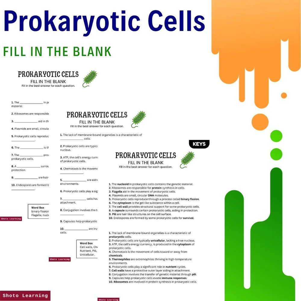 Prokaryotic Cells ABC Order Worksheet - Fun Learning Tool