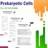 Prokaryotic Cell Q&A Mastery: 20 Questions & Answers
