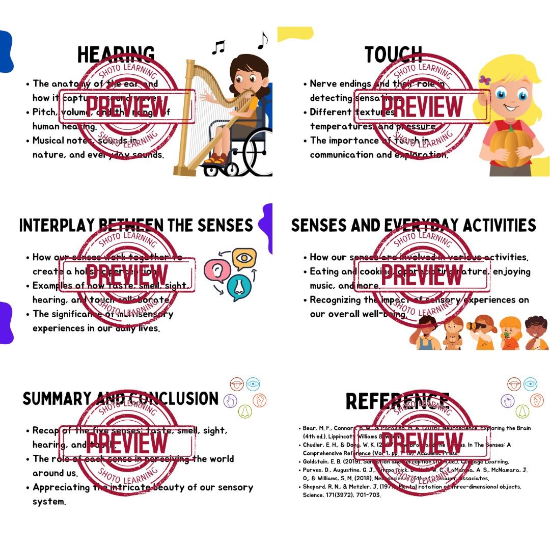 Five Senses Word Search Puzzle - Fun Science Activity for Kids