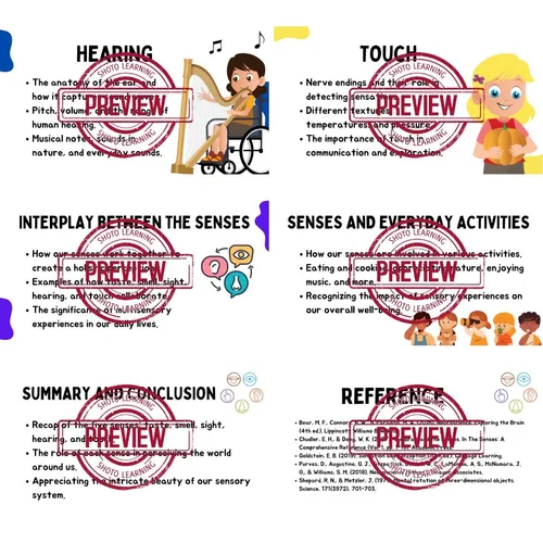 Five Senses Word Search Puzzle - Fun Science Activity for Kids