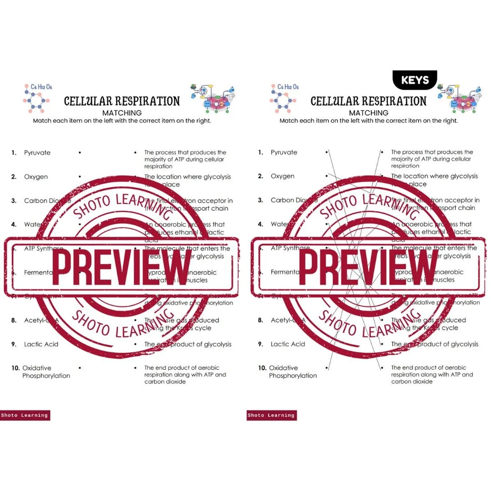 Cellular Respiration Missing Letters Worksheets – 20 Key Terms