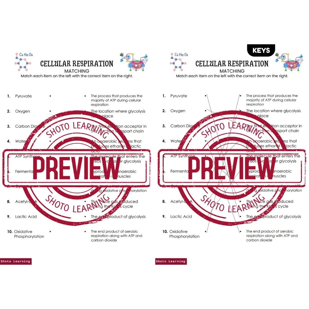 Cellular Respiration Cryptogram Puzzle – Fun Biology Worksheet