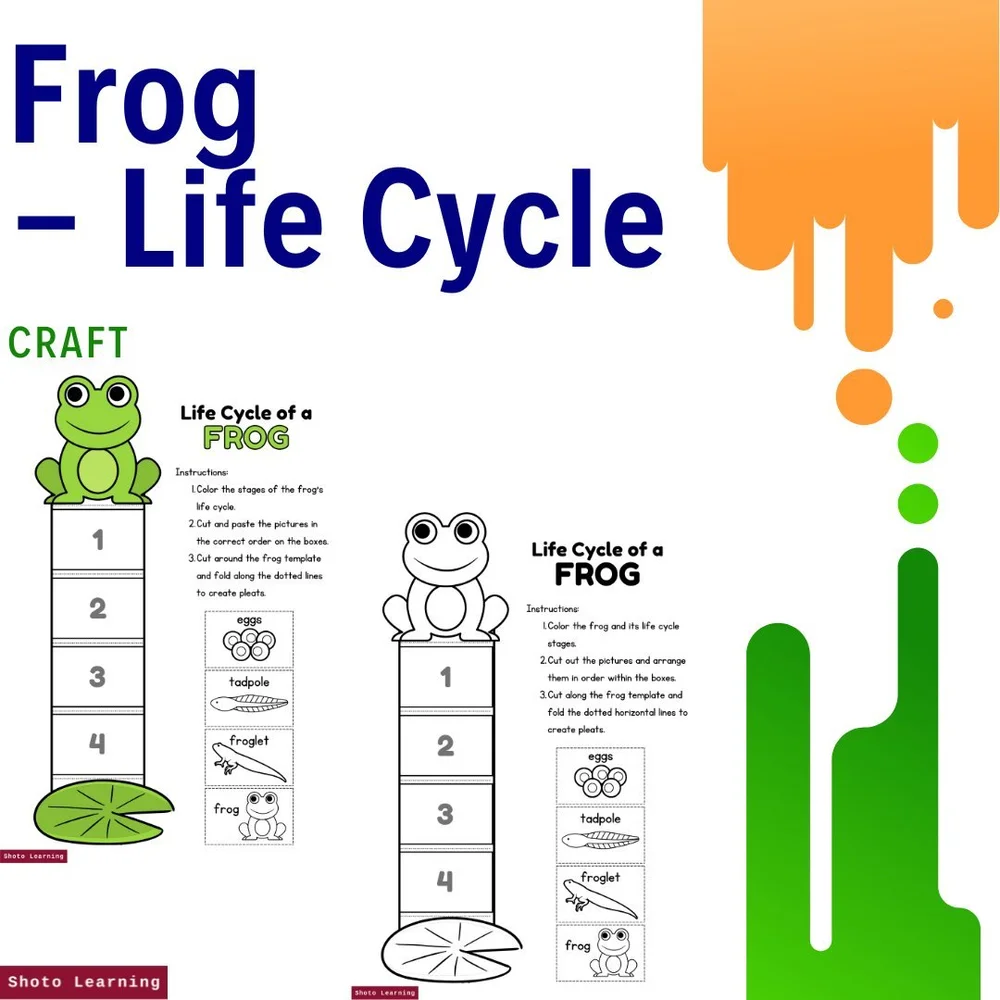 Frog Life Cycle Reading Worksheet with Questions & Answers