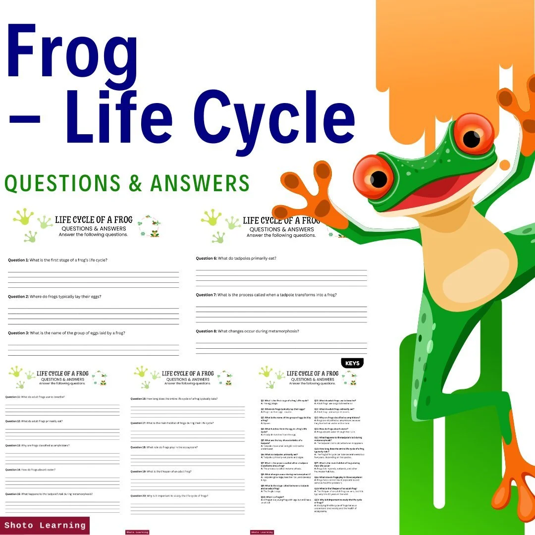 Frog Life Cycle Reading Worksheet with Questions & Answers