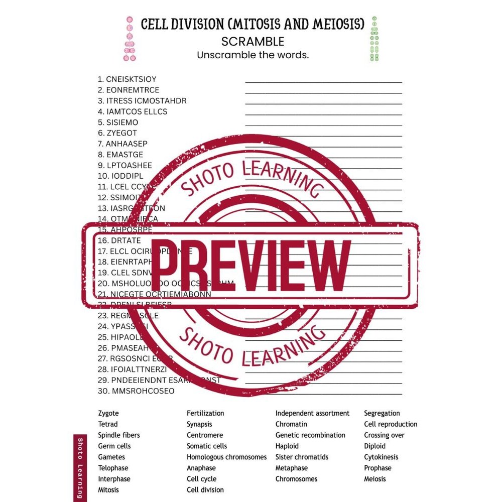 Cell Division Guide: Mitosis vs. Meiosis Comprehension