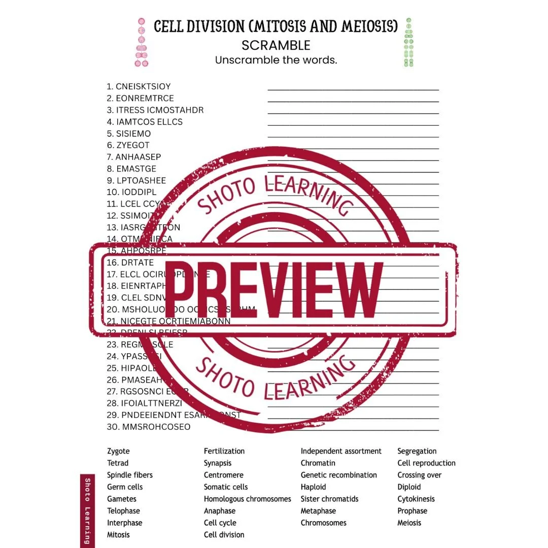 Cell Division Guide: Mitosis vs. Meiosis Comprehension