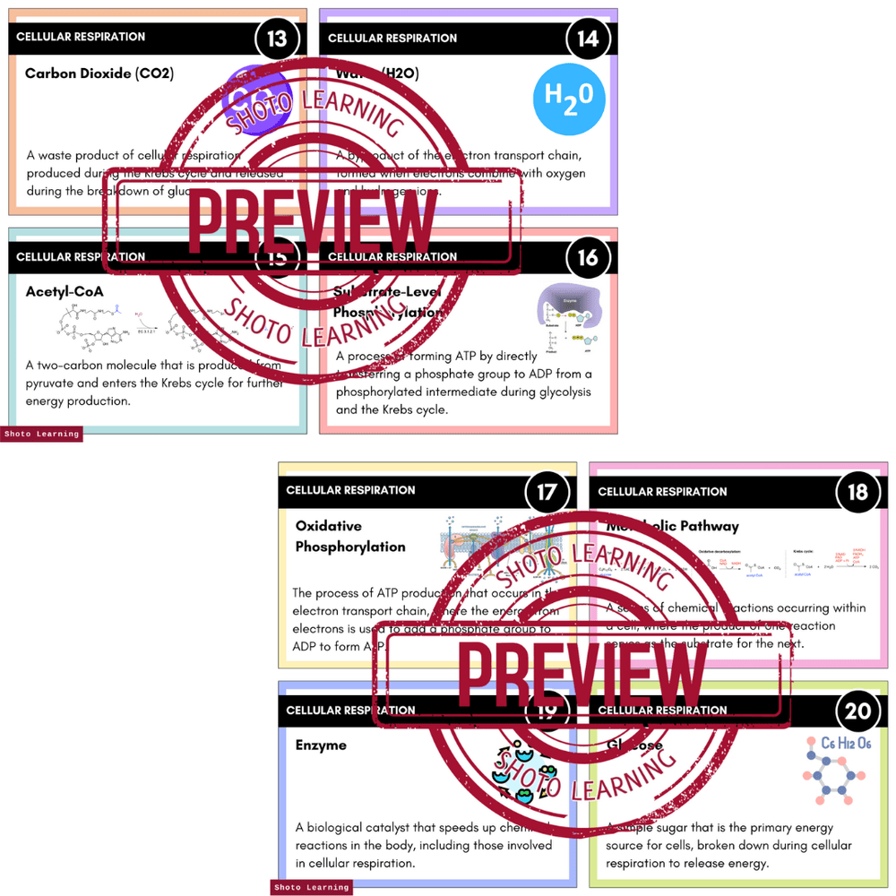 Ls17 Cellular Respiration And Energy Biology Dictionary Biology Cell