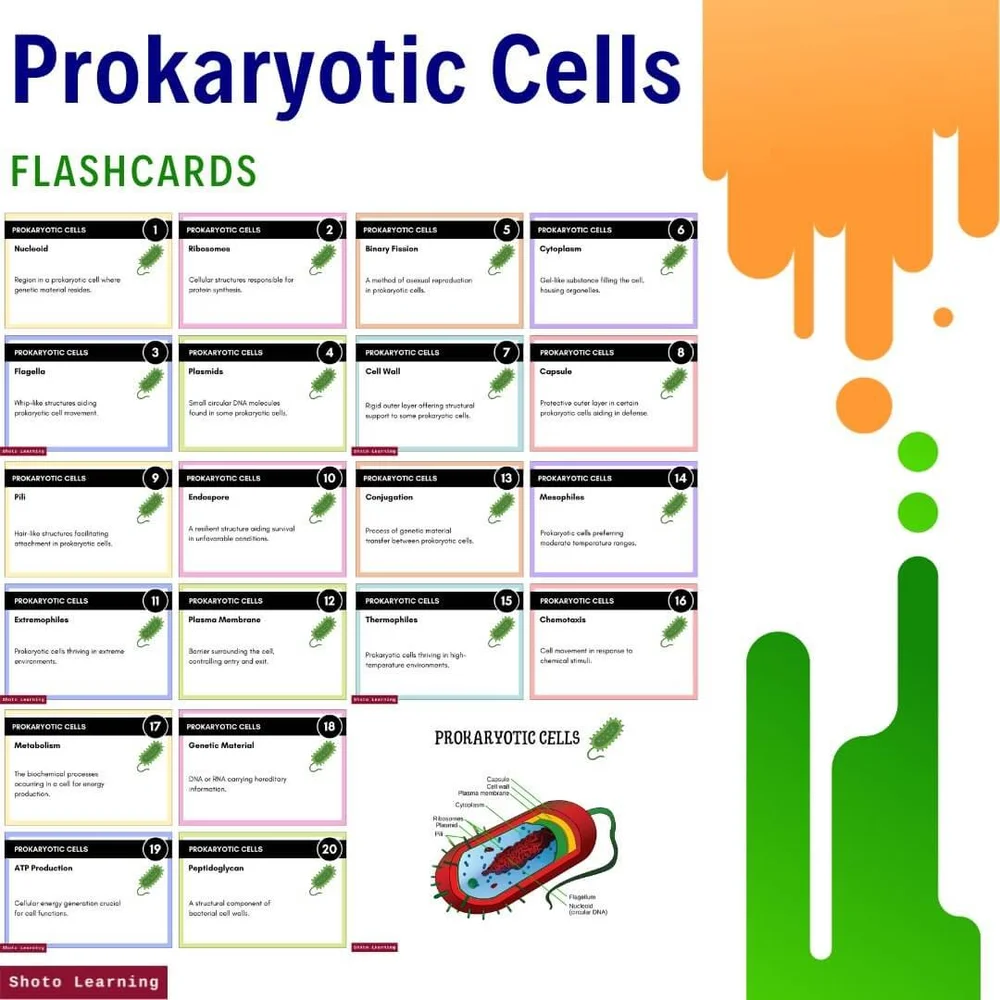 Prokaryotic Cells Cut and Paste Activity - Fun Science Worksheet