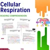 Cellular Respiration Label Worksheet | Word Box & Answer Key