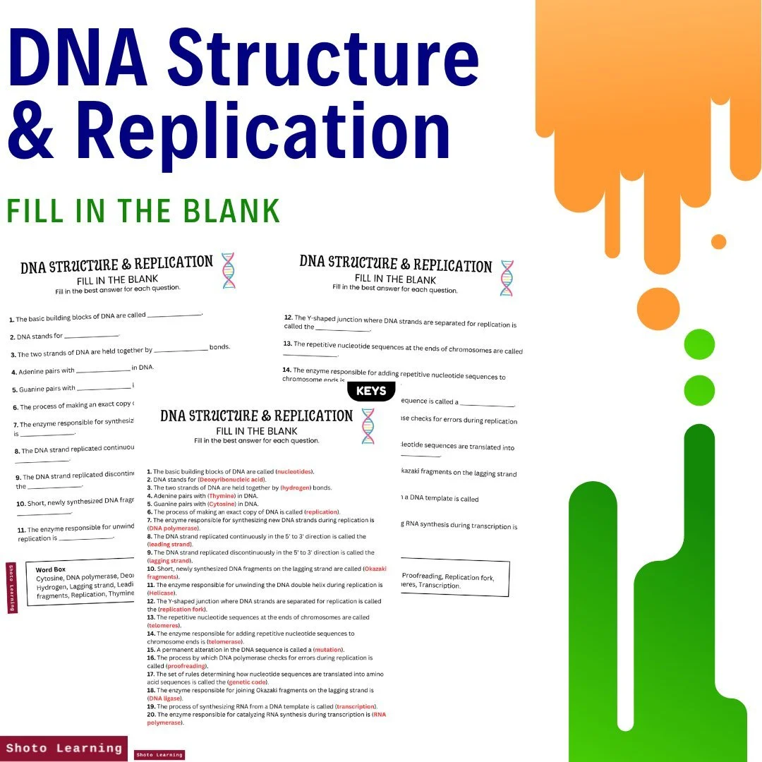 DNA Structure Worksheet: Engaging Exercises with Answers