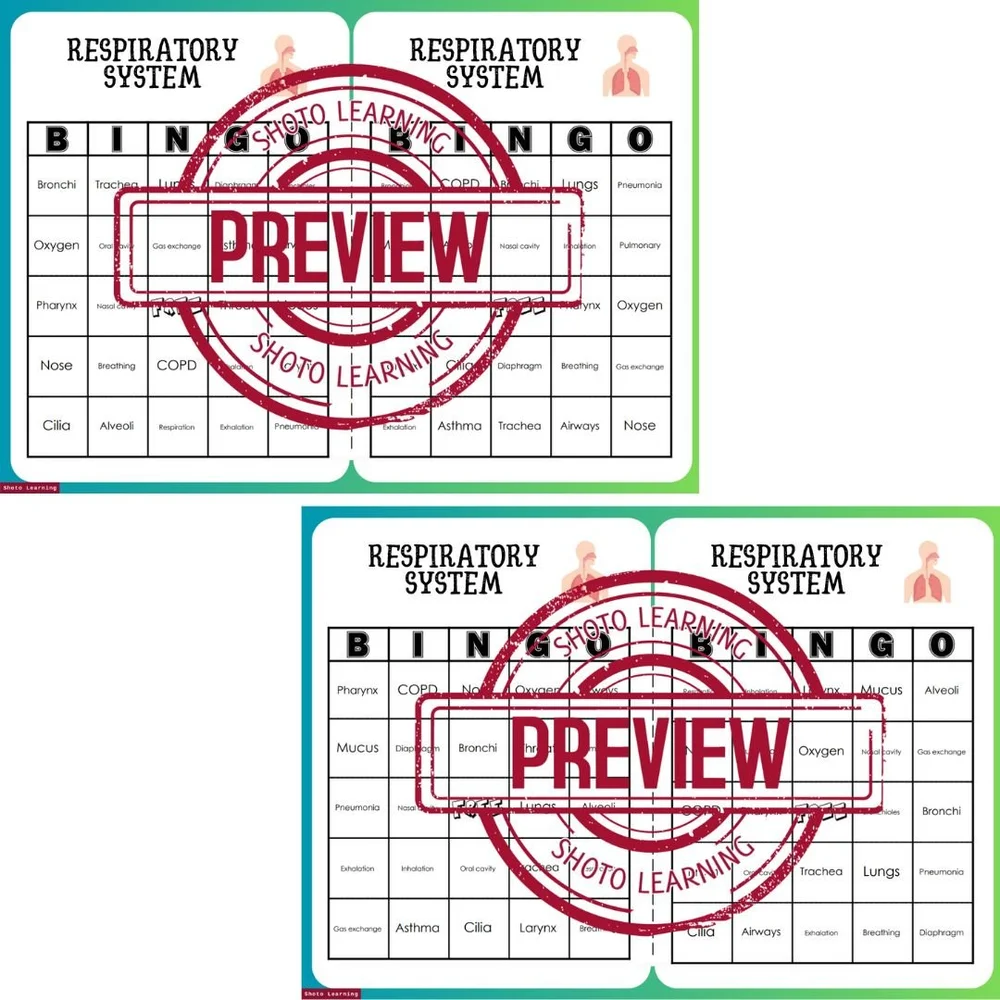 Respiratory System Diagram: Fill in the Blanks and Learn