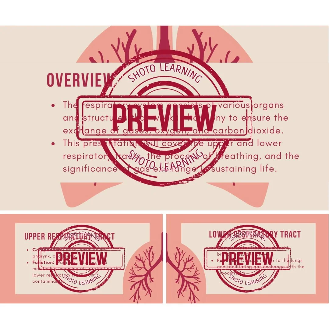 Respiratory System Diagram: Fill in the Blanks and Learn
