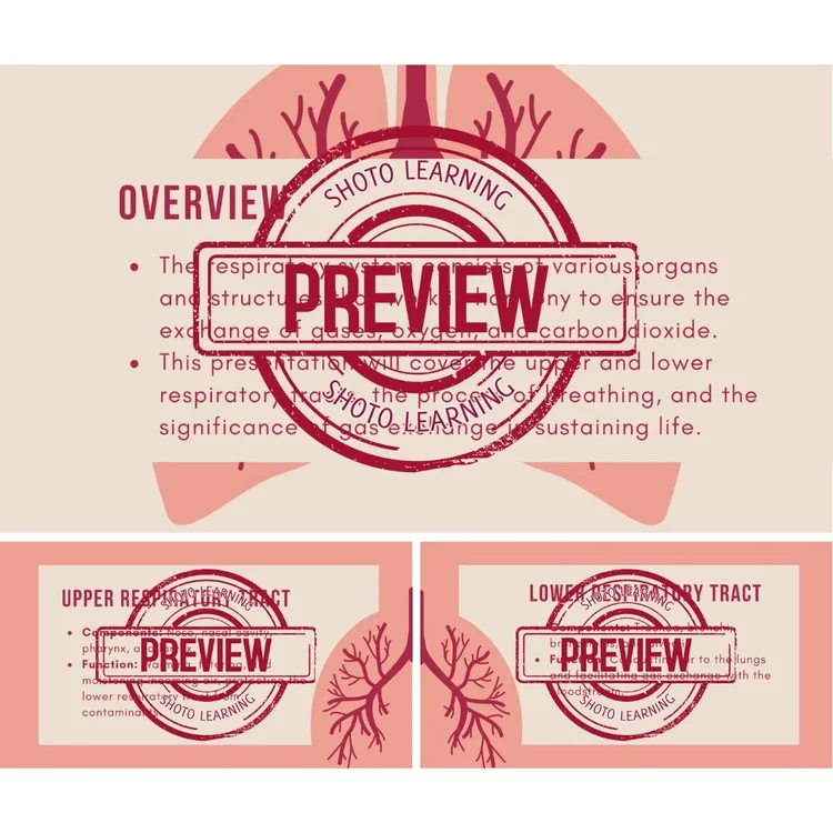 Respiratory System Quiz: Test Your Lung Knowledge