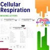 Cellular Respiration Label Worksheet | Word Box & Answer Key